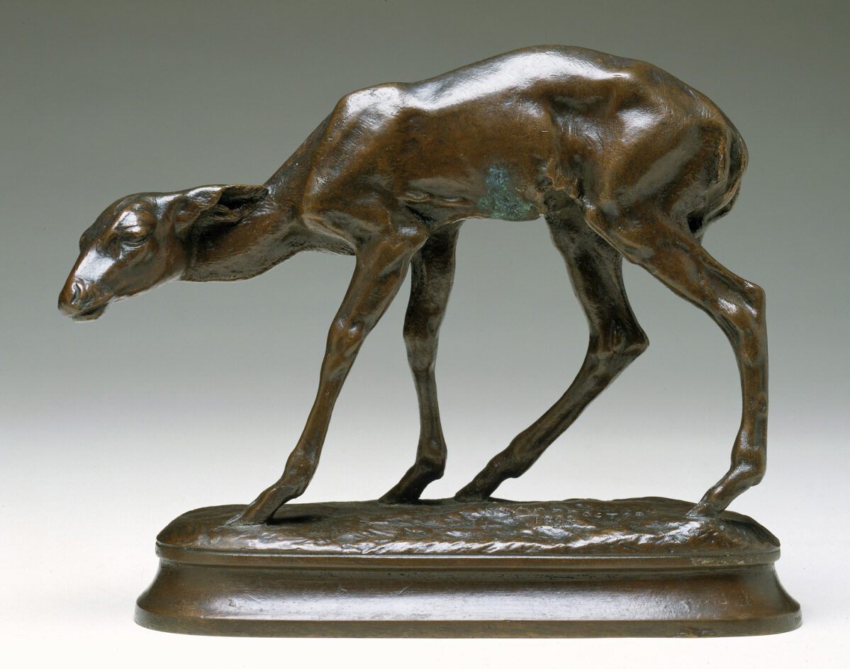 Fawn - Alexander Phimister Proctor: The Sculptor in Buckskin