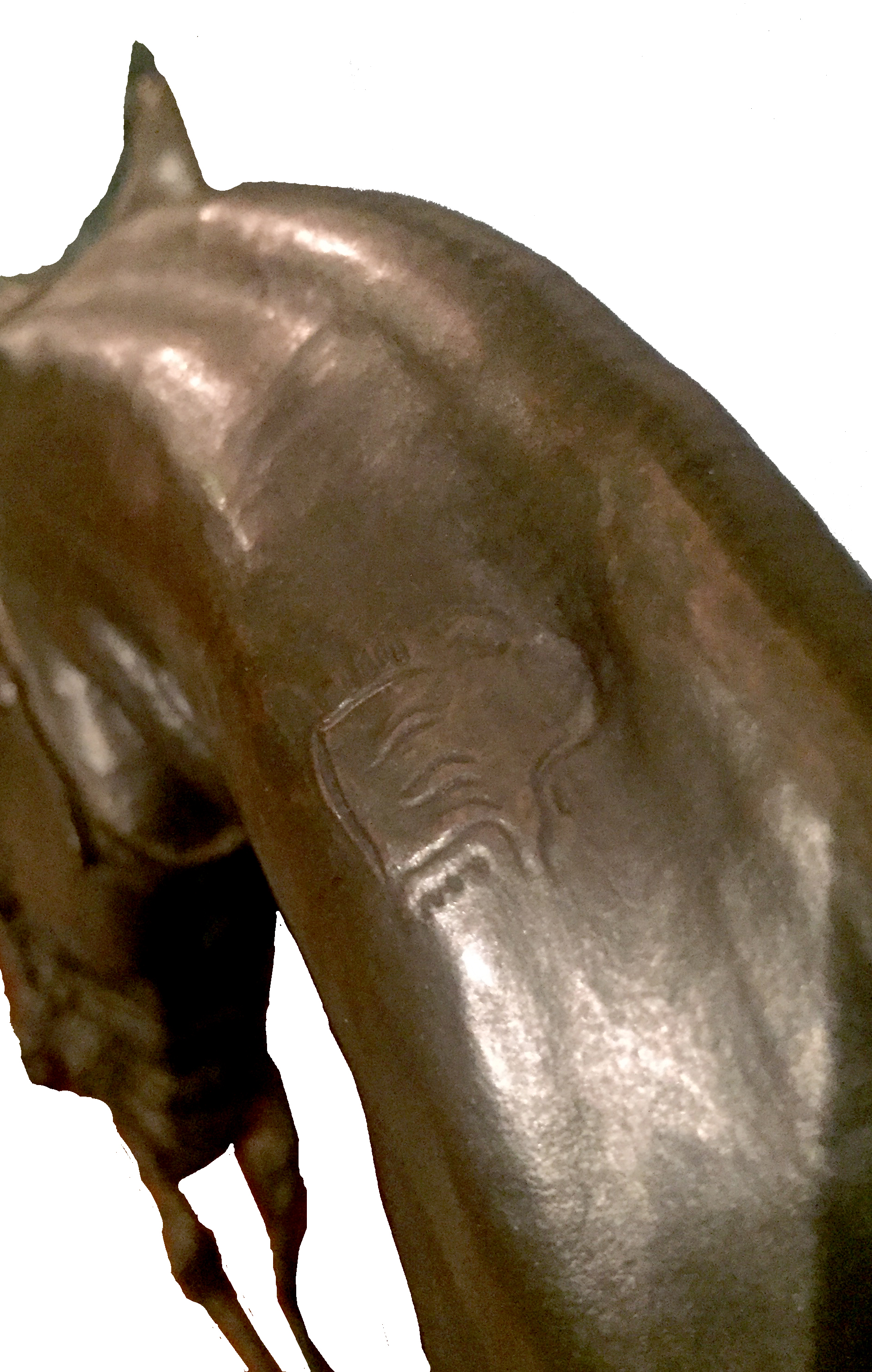 Arabian Stallion - Alexander Phimister Proctor: The Sculptor in Buckskin
