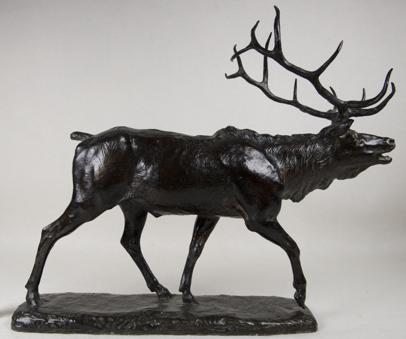 Elk - Alexander Phimister Proctor: The Sculptor in Buckskin