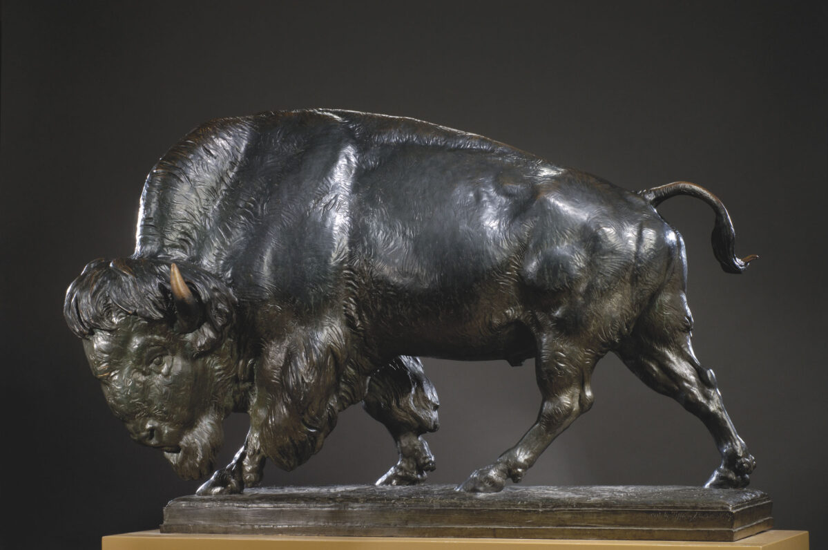 Buffalo - Alexander Phimister Proctor: The Sculptor in Buckskin