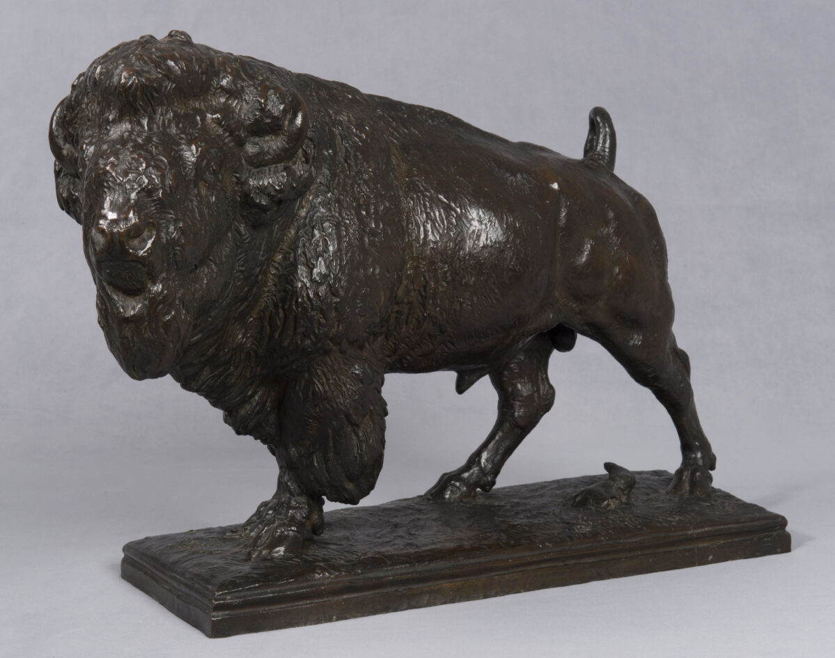 Buffalo - Alexander Phimister Proctor: The Sculptor in Buckskin