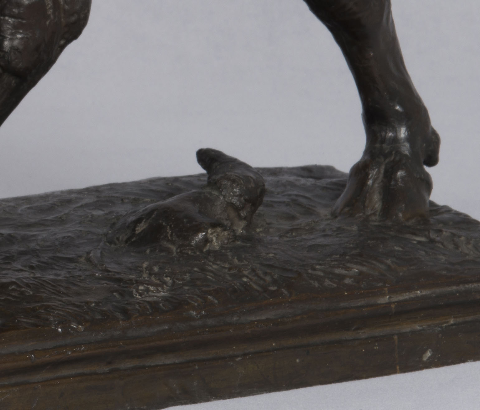 Buffalo - Alexander Phimister Proctor: The Sculptor in Buckskin